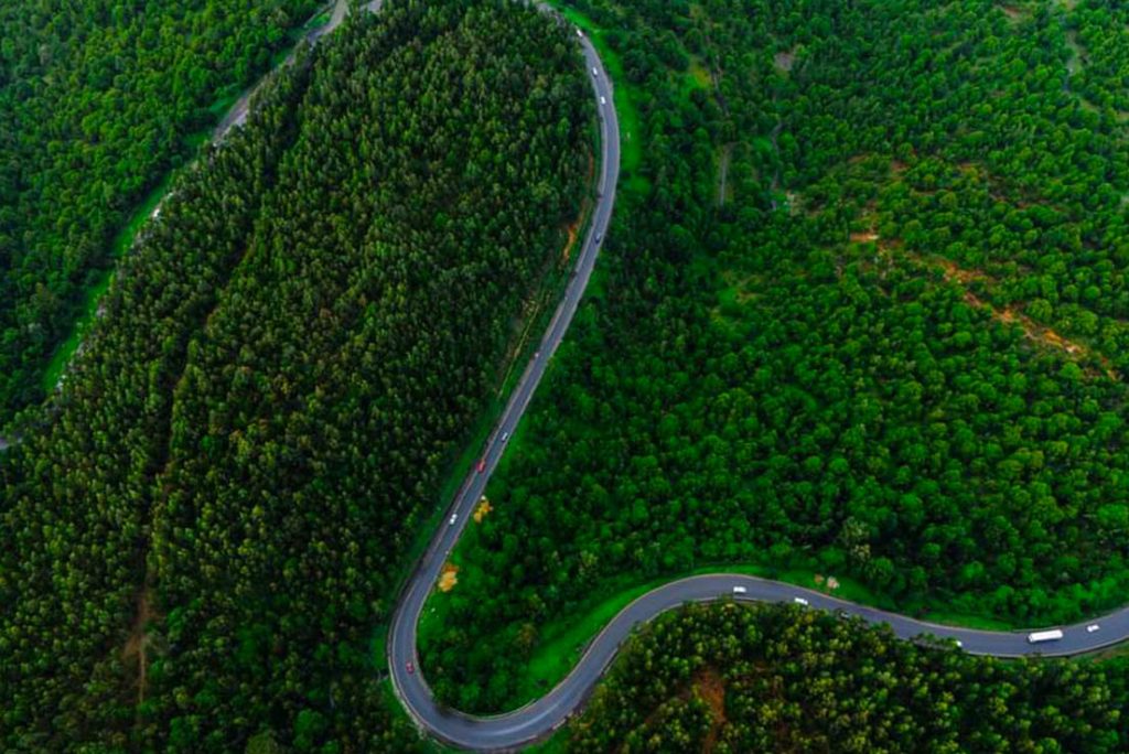 Entoto Natural Park - Alert Tours